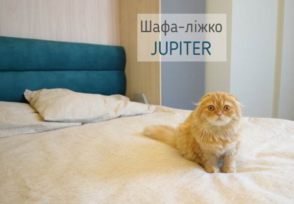 Смарт Мебель Трансформер, Шкаф Кровать Диван, умная мебель - для ...